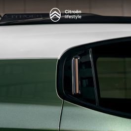 LOT DE 4 COLOR CLIPS C3/C4/C5 2025 MARRON | Boutique Officielle CITROËN